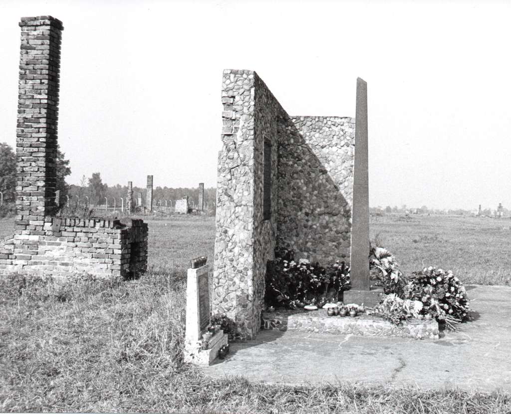 An Interview with Romani Rose of the Central Council of German Sinti ...